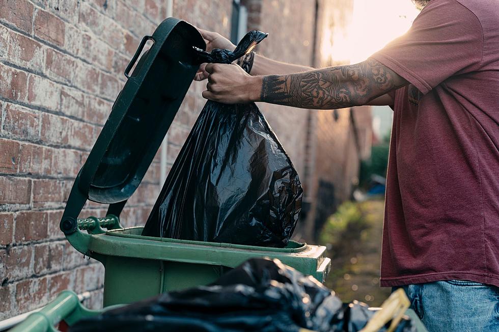 HomePage - Dumpster Palace - Your Premier Waste Management Solution